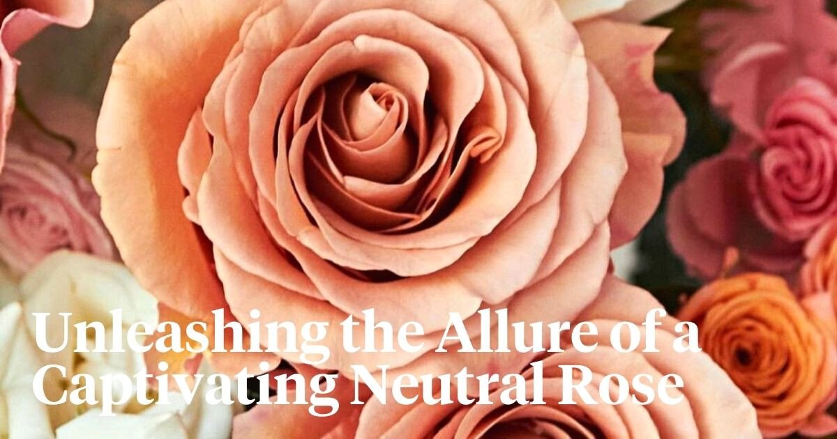 Rosaprima’s RP Moab Rose Campaign Redefines Luxury