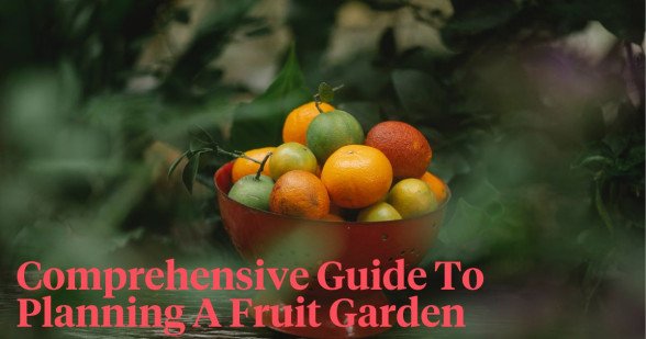 Comprehensive Guide To Planning A Fruit Garden From Scratch