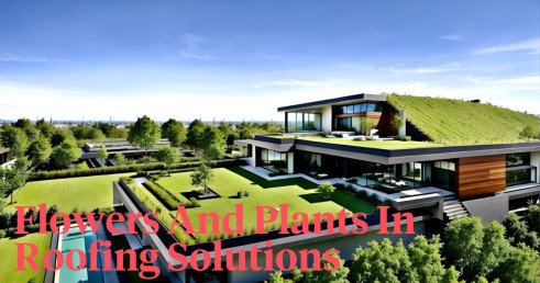 Colorful Green Roofs Transform Homes with Living Flowers