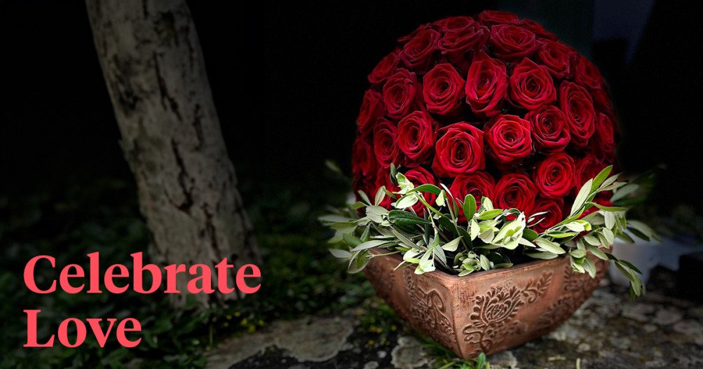 Red Naomi Roses from Porta Nova Are Highly Appreciated