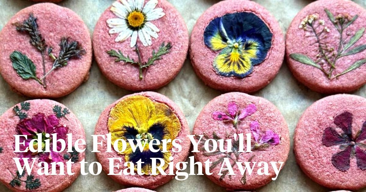 'Eat Your Flowers' by Shark Tank Contestant Loria Stern