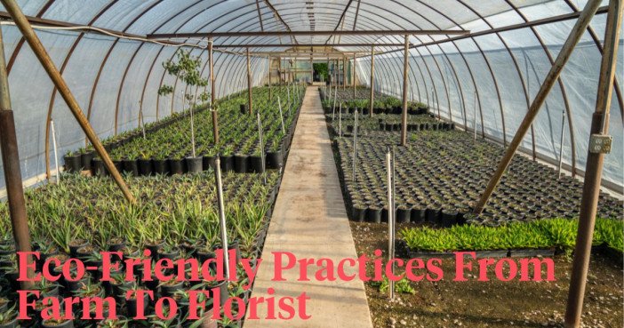 Eco-Smart Floriculture: Practices from Farm to Vase