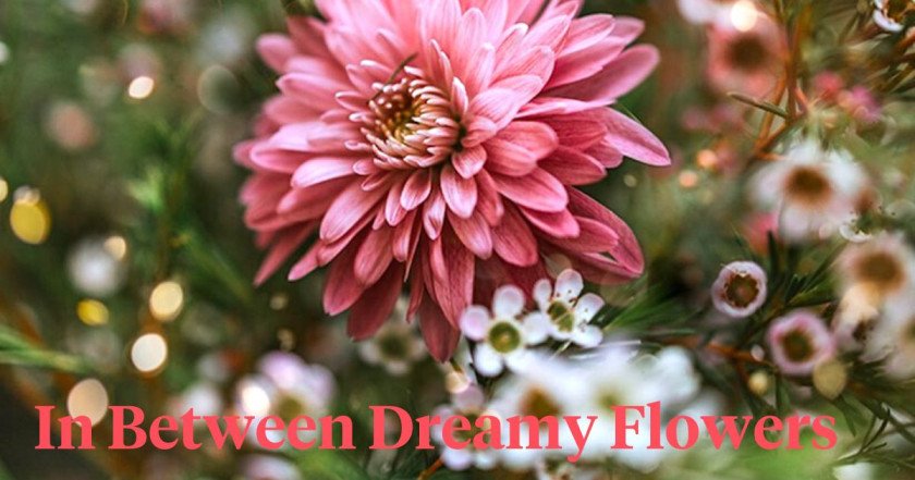 Lucy Ketchum Mexican Floral Photography Highlights