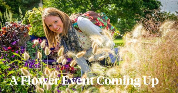 Join the 2023 RHS Garden Rosemoor Flower Show