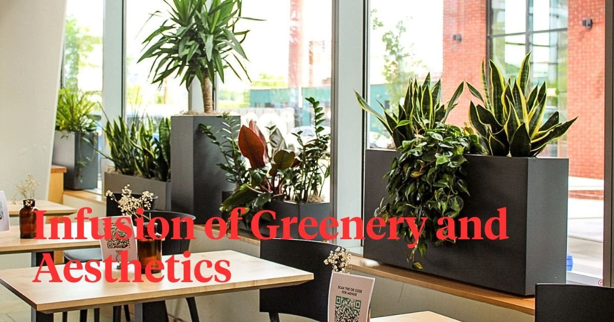 Restaurant Plants for Your Indoor and Outdoor Dining Spaces