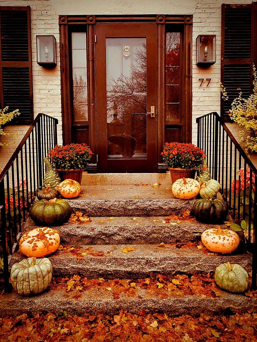 10 Typical Autumn Flowers You Need to Try Out - Article on Thursd