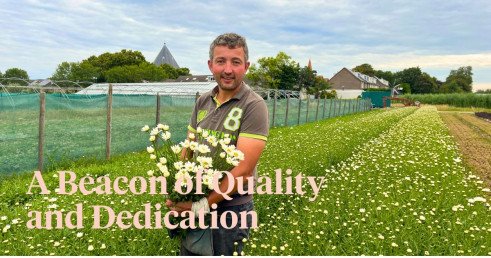 Visiting Summer Flower Grower Gebr. Van Ruiten