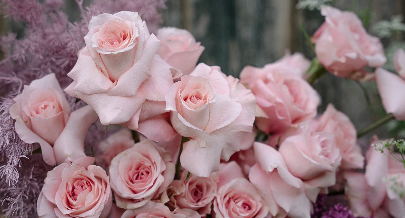 Rose Maureen | Product Featured on Thursd.com