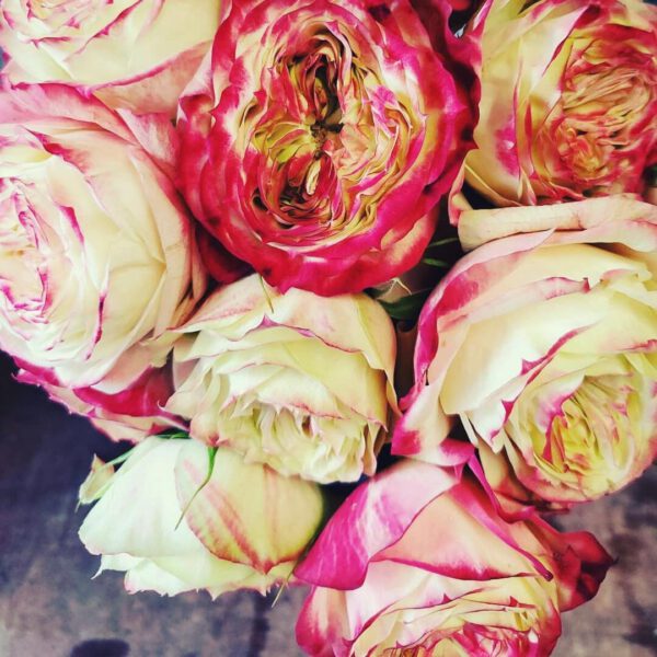 Join the Florist Rose Paradise