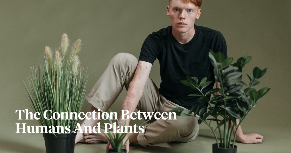 Plant Therapy: Psychology Behind Nature’s Mental Boost