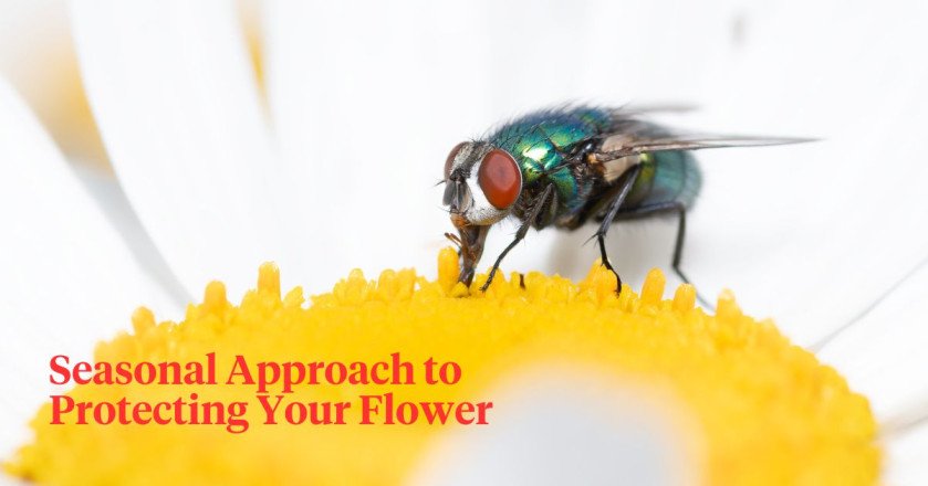 Seasonal Garden Pest Control Tips for Flower Beds