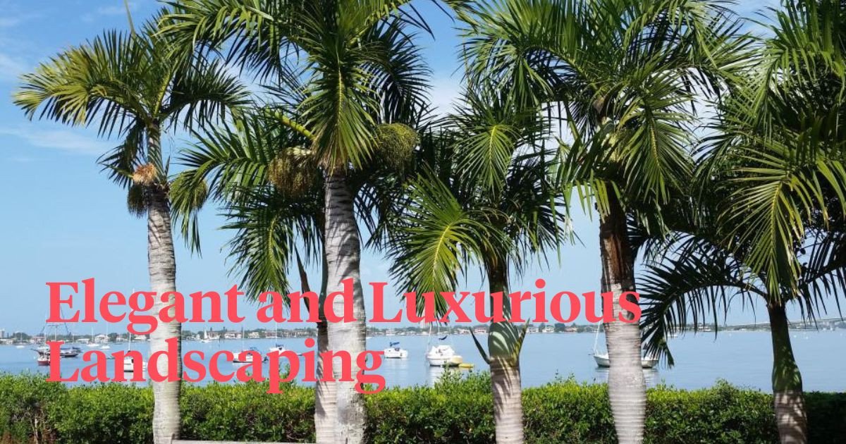 27 Types of Palm Trees for a Tropical Feel in Your Garden