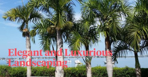 27 Types of Palm Trees for a Tropical Feel in Your Garden