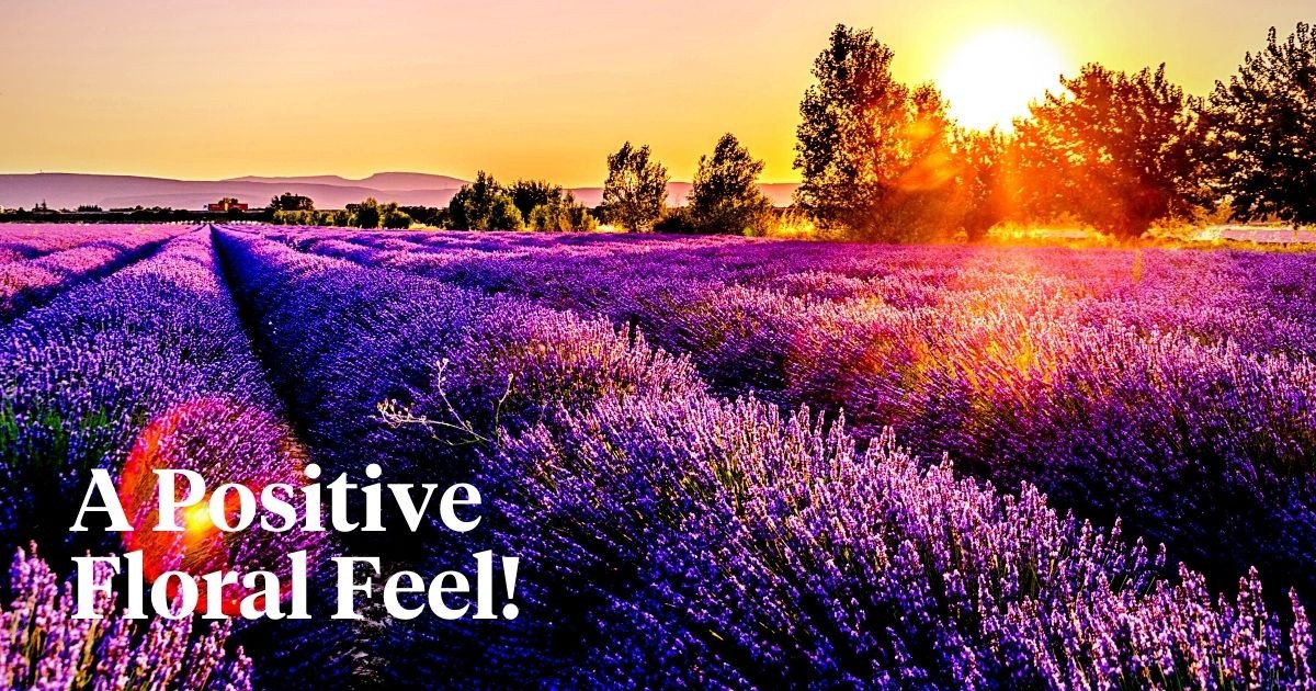 Are There More Positive Effects in Real Fresh Flowers?