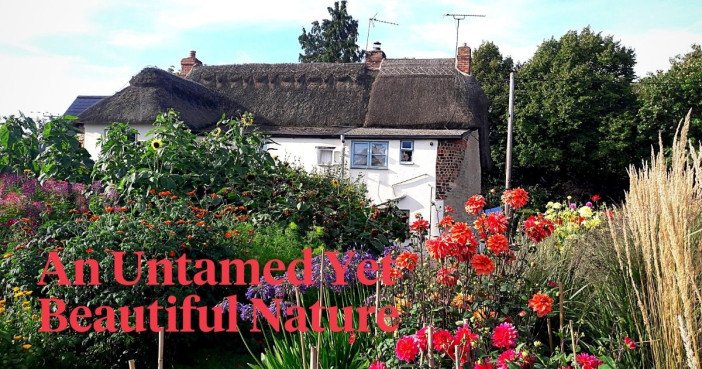 The Untamed Beauty of Cottage Gardens