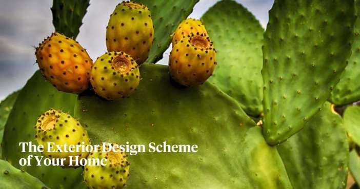 Hedge of Protection - 14 Most Attractive Plants for Home Security