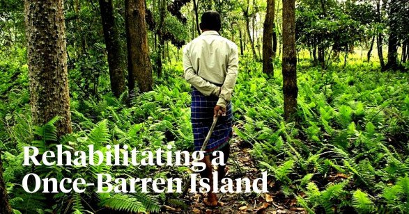 Meet Jadav Payeng: The Forest Man of India Behind Molai Forest