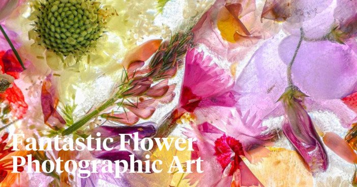 Joseph Horner Floral Block Photography and Story