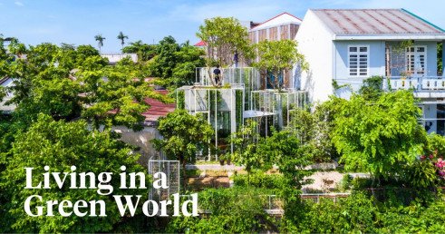 Labri House In Vietnam Offers Shelter for Humans and 'Botanic Friends'