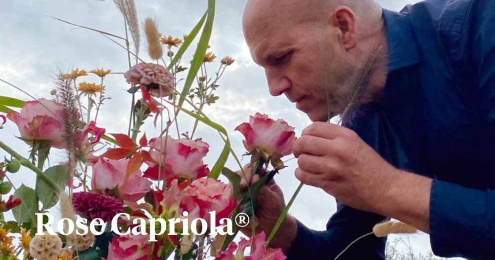 Rose Capriola from Famous Breeder De Ruiter