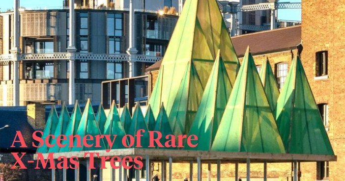 11 of the Strangest and Most Unusual Christmas Trees