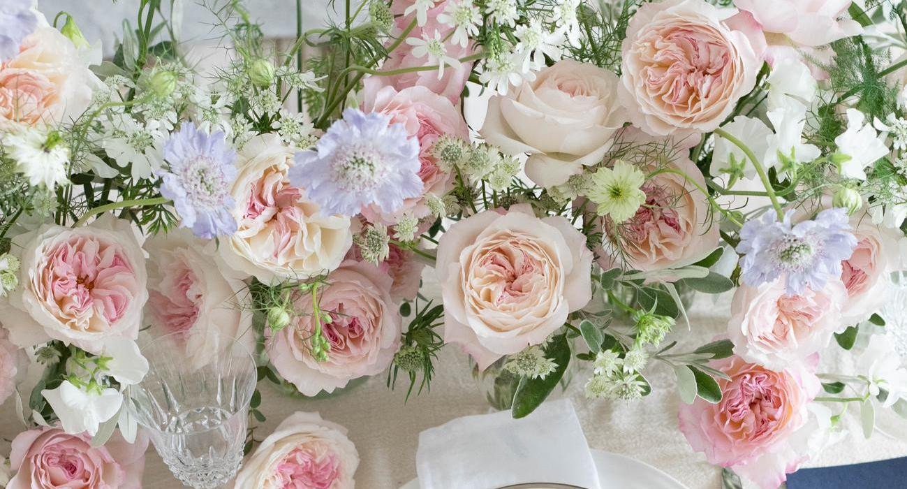 Rose Keira | Product Featured on Thursd.com
