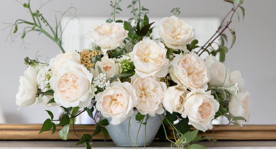 Rose Purity | Product on Thursd.com