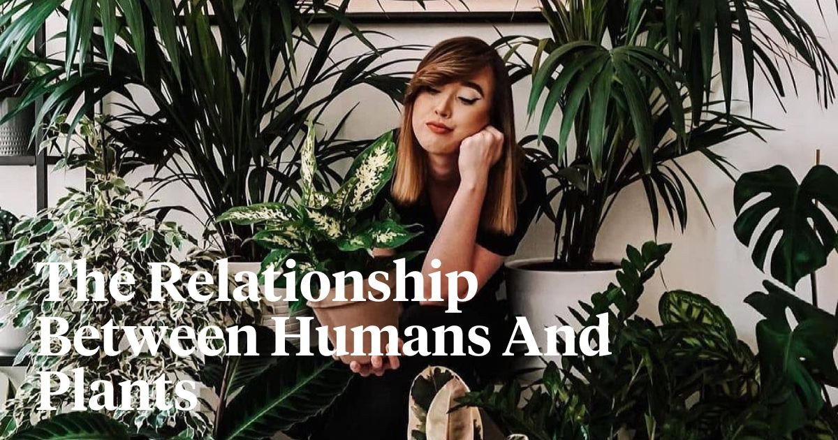 20 Flower Benefits to Humans Backed by Science