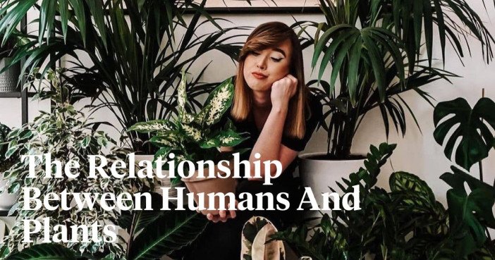 20 Flower Benefits to Humans Backed by Science