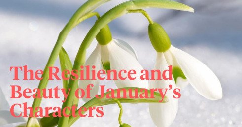 What Are the January Birth Month Flowers? - Article onThursd