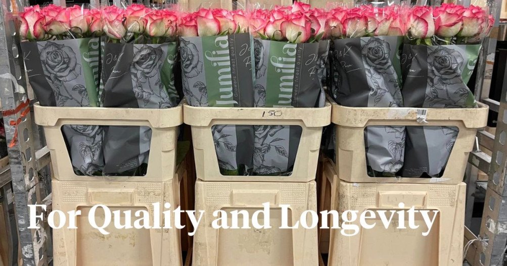 How to Process Roses for Sale, From Farm to the Market