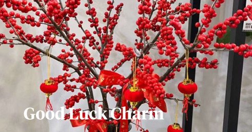 Lucky Chinese New Year Flowers and Plants to Buy in 2024
