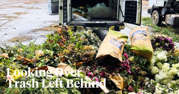 Garbage Goddess - An Eco-Clean Up in New York That Supports the Earth