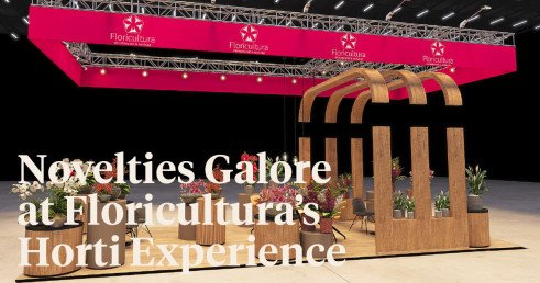 Floricultura’s Showcase of Novelties at IPM Essen 2024