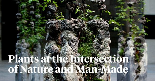 Jamie North Creates Living Sculptures with Native Plants