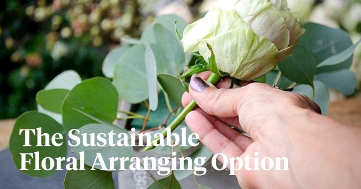 Why Florists Worldwide Are Quitting Toxic Floral Foam