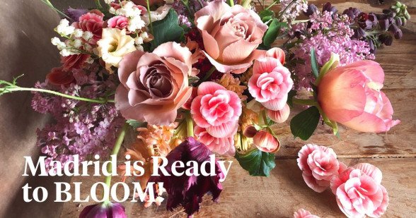 Madrid Blooms 2024 Floral Congress Dates Tickets Lineup