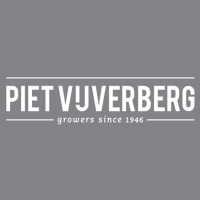 Piet Vijverberg - Grower on Thursd