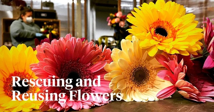 Flowerescue: Sustainably Rescuing and Reusing Flowers