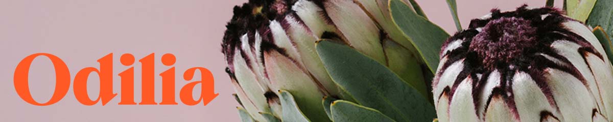 Discover Odilia, a Great Collection of Exotic Flowers