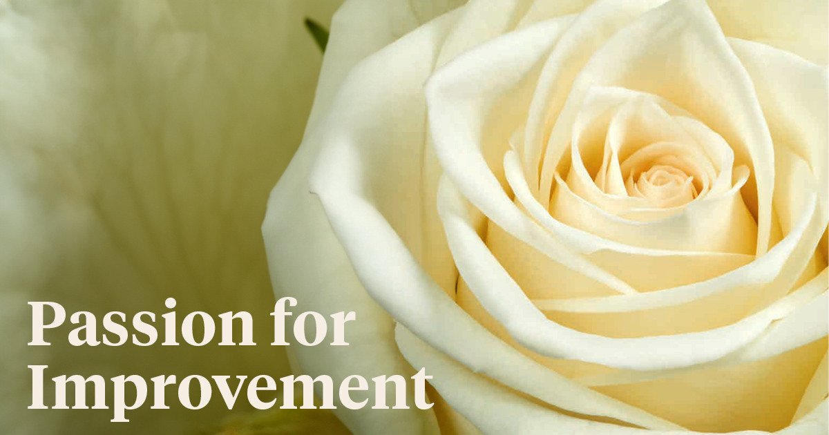 Kordes Rosen Is the 'Kreative' Mind Behind Rose Albatros