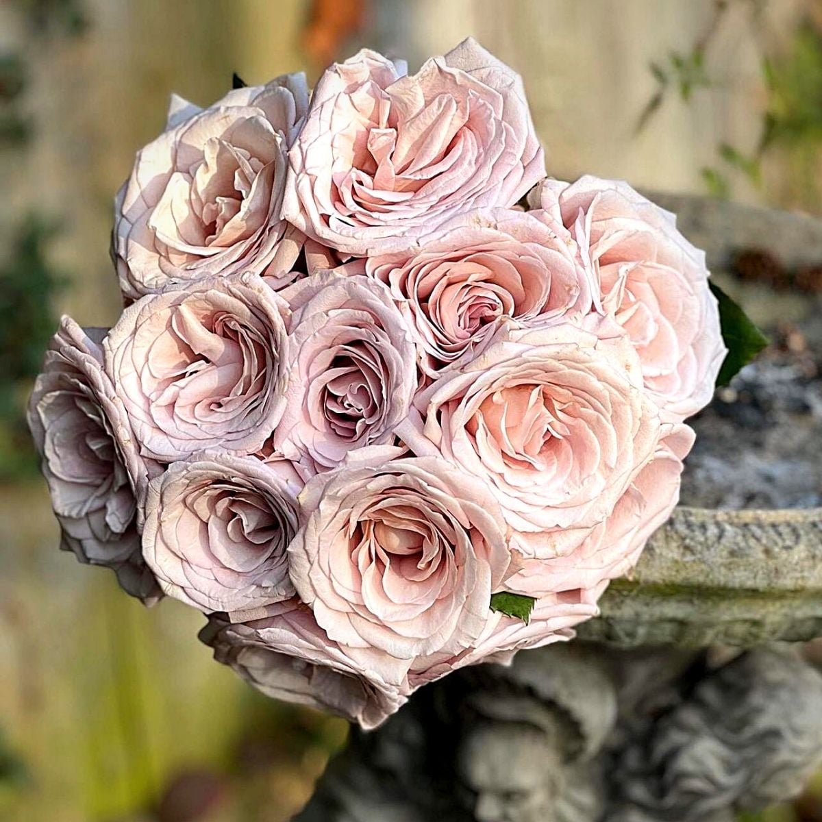 Global Cut Flower Industry to Top $50 Billion by 2030