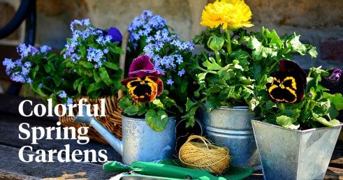 5 Ways to Introduce Color Into Your Spring Garden