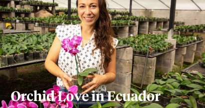 An Insightful Interview With Judith Plitman From ConAn Multiflor