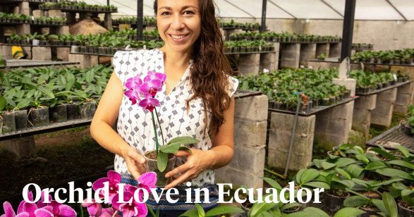 An Insightful Interview With Judith Plitman From ConAn Multiflor