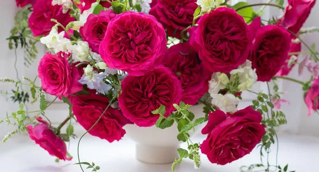 Rose Hettie™ | Product on Thursd.com