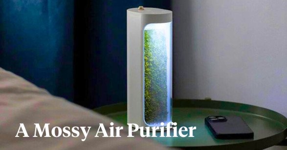 Moss Air Humidifier Turns Dry Air Into Moisture-Rich Environments