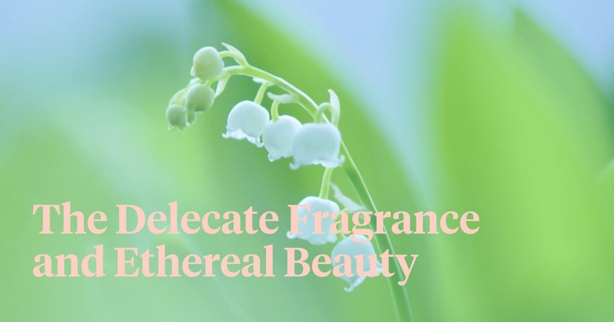 May Birth Flower Is the Delicate Lily of the Valley