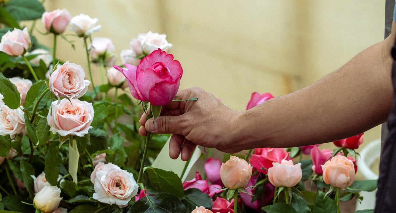Green Valley Floral