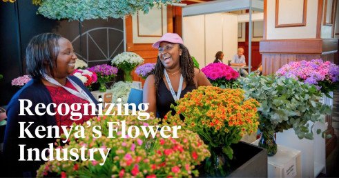 Thursd Celebrates the Beauty and Bounty of Kenyan Flowers